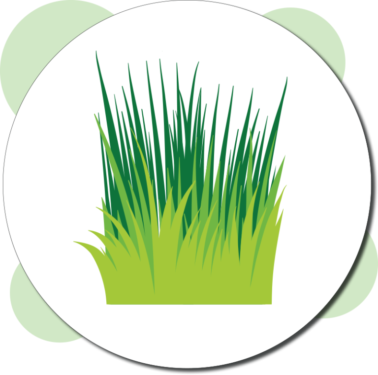 Fort Myers Pest Control | Home And Lawn Pest Control Services